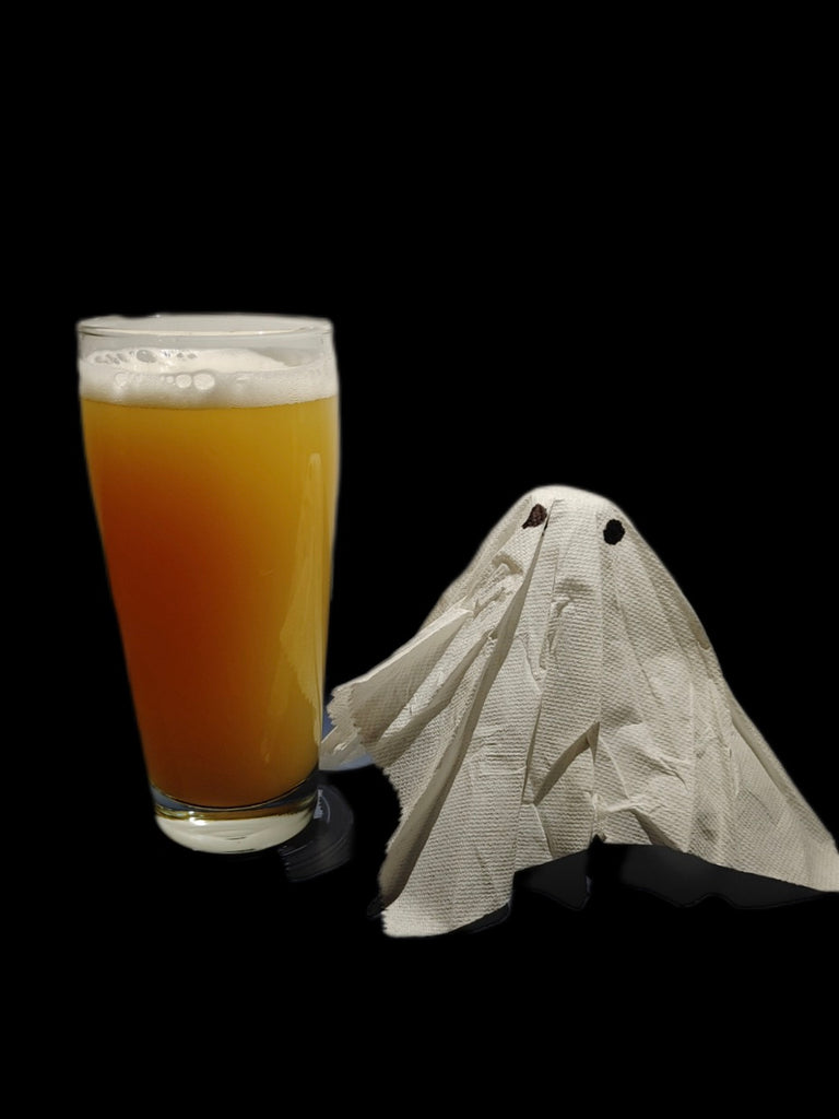 Phantom - Explorer Series #79 - Kicked! – True North Ale Company