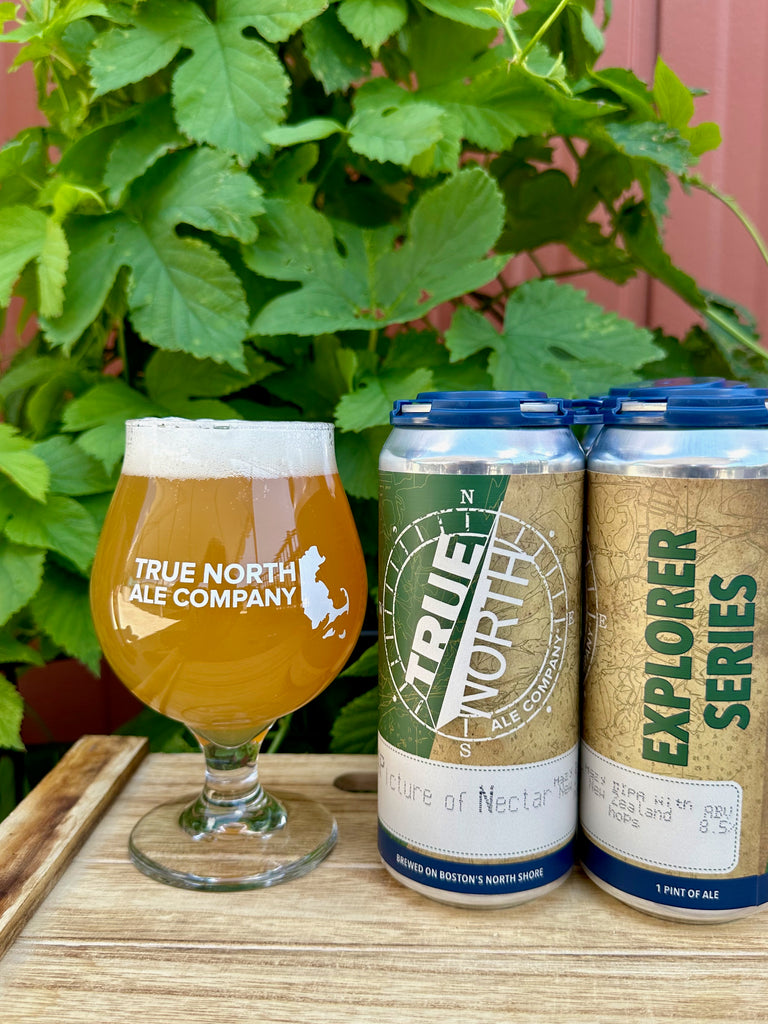 Picture of Nectar - Explorer Series #84 - Kicked! – True North Ale Company